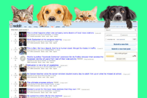 Reddit: The Ultimate Beginner's Guide